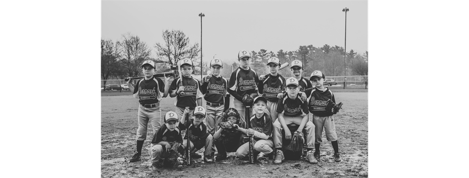 Denmark Youth Baseball and Softball > Home